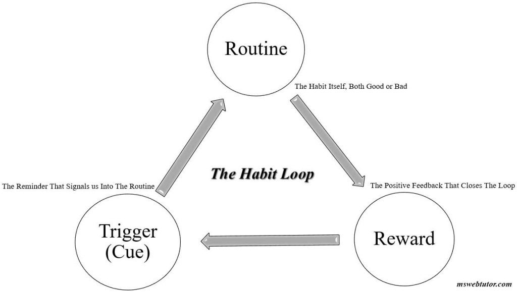 How to develop a study habit? - mswebtutor How to develop a study habit? - mswebtutor